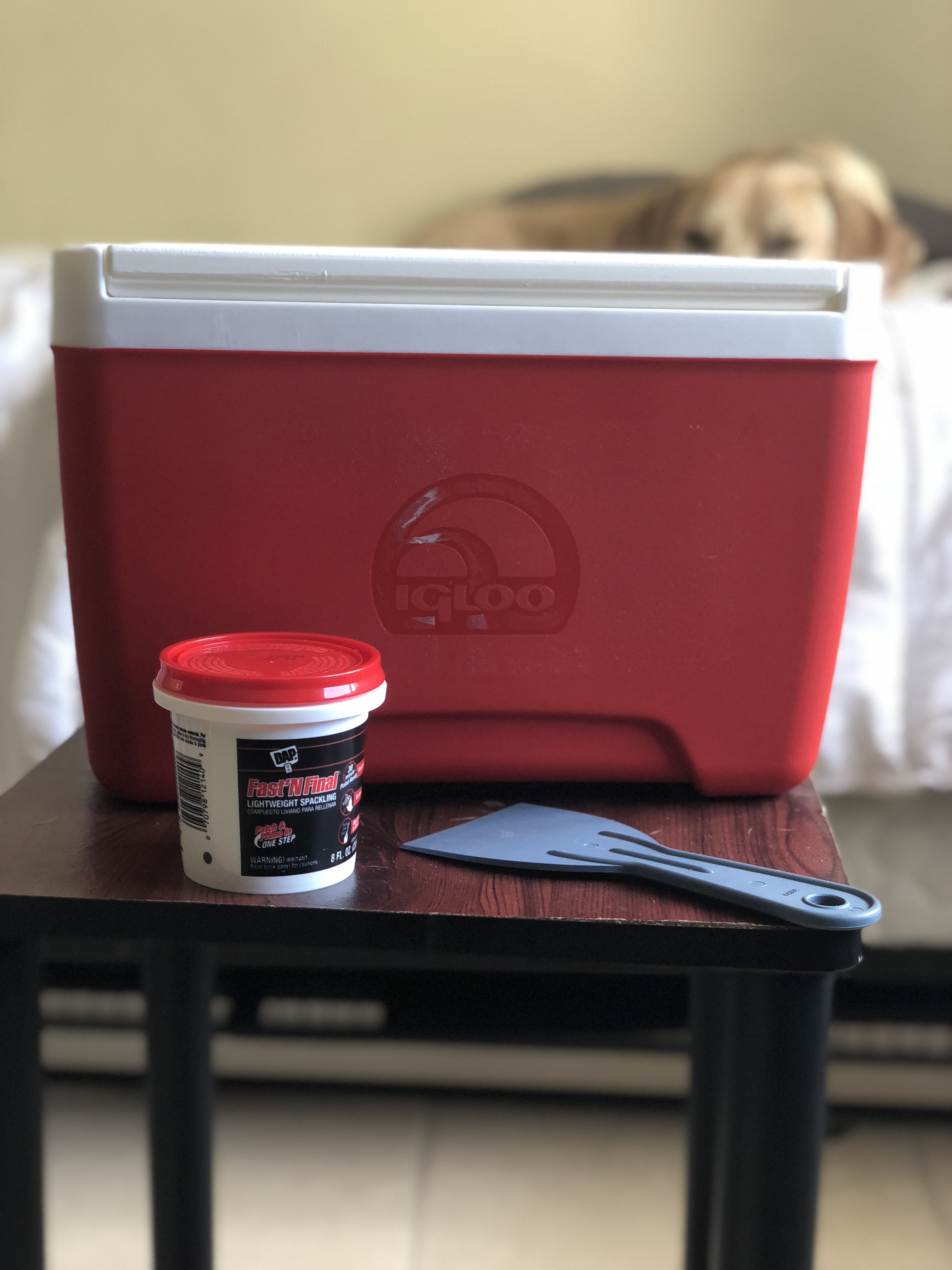 DIY Painted Cooler – The Classy Academic